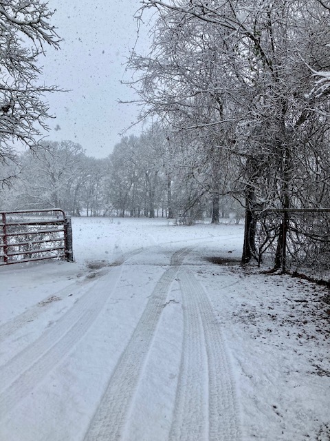 Joy in the Snow | Green Acres Farm & Home