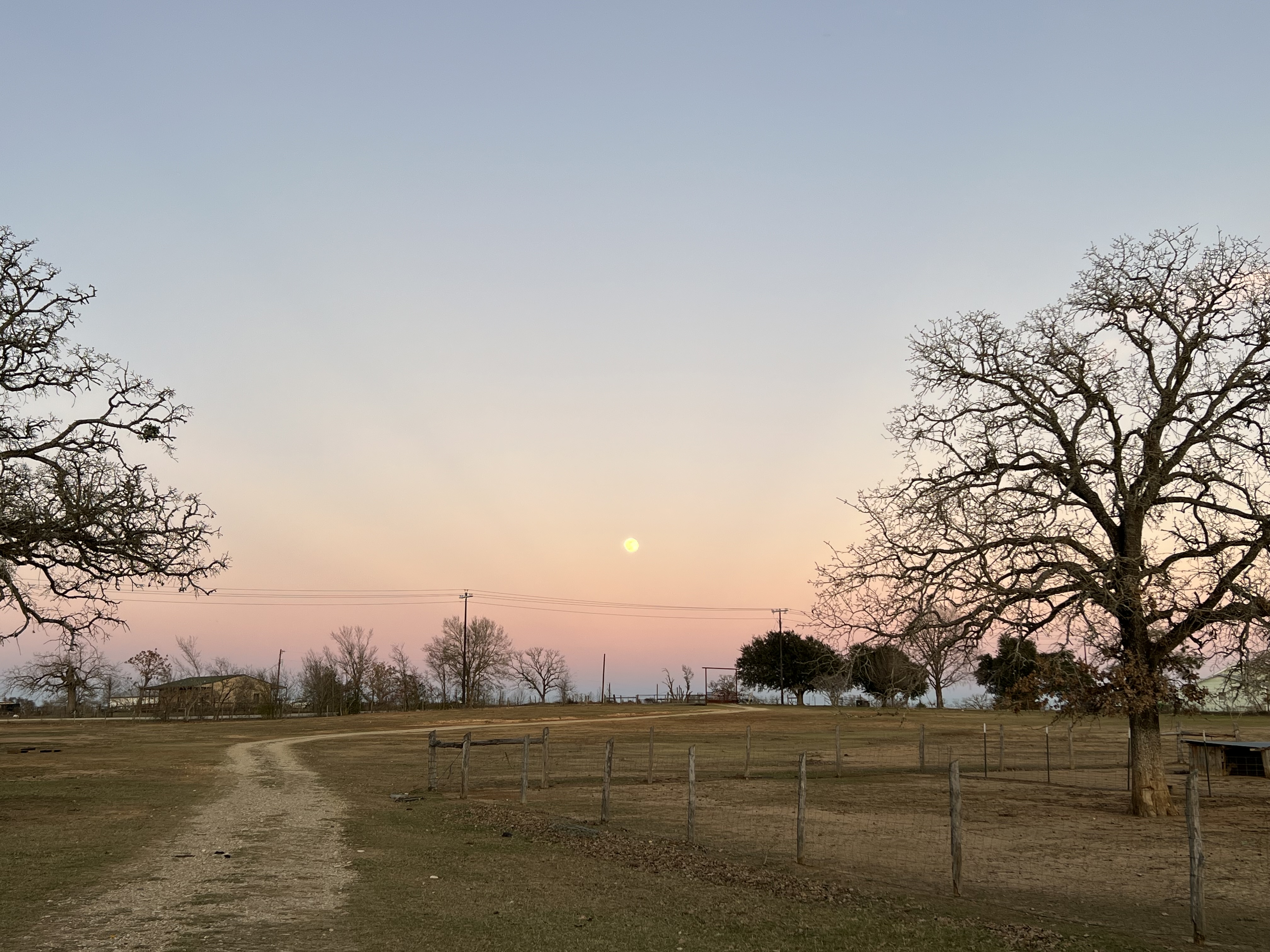 A Steep Learning Curve | Green Acres Farm & Home
